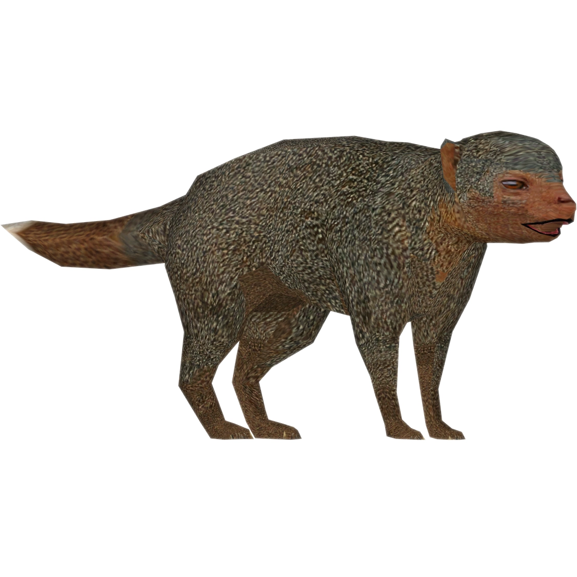 Dwarf Mongoose (DutchDesigns)/Version 1 | ZT2 Download Library Wiki ...