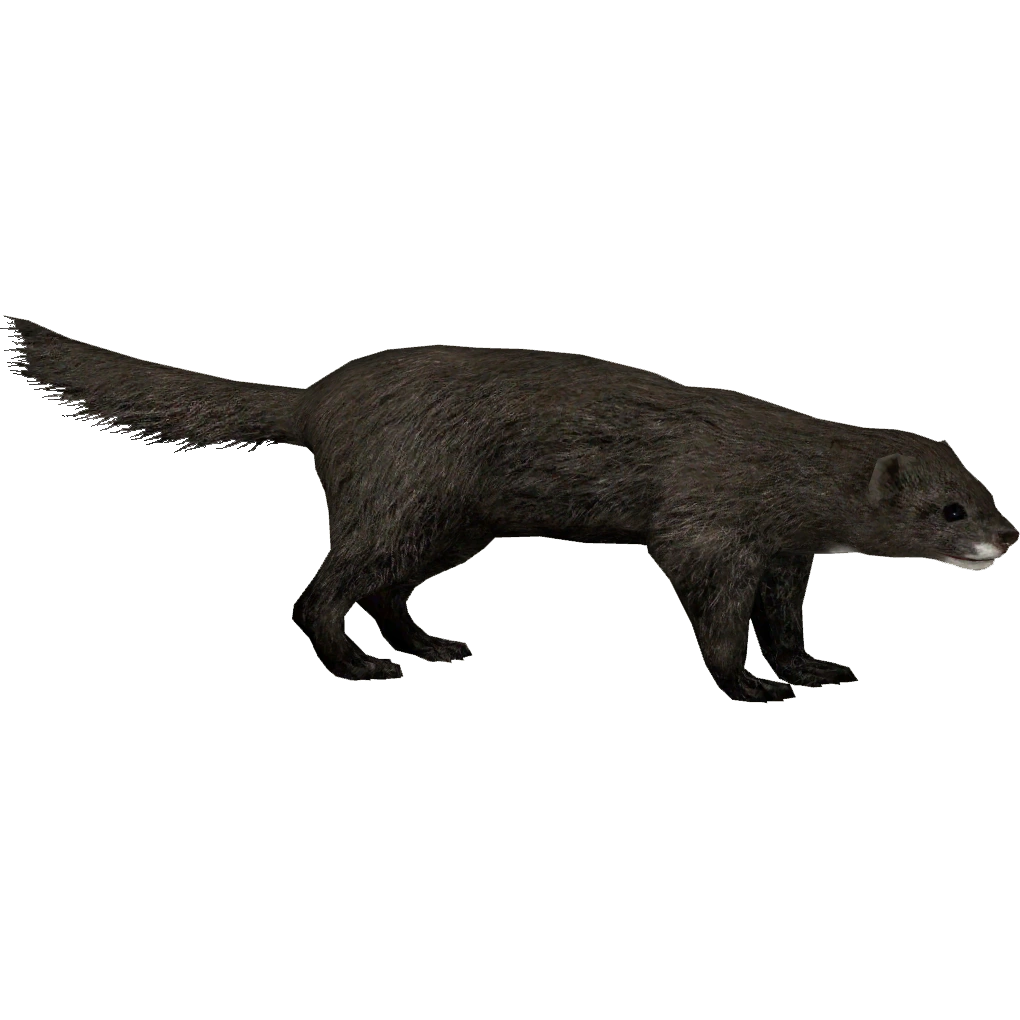 Sea Mink (Whalebite) | ZT2 Download Library Wiki | Fandom